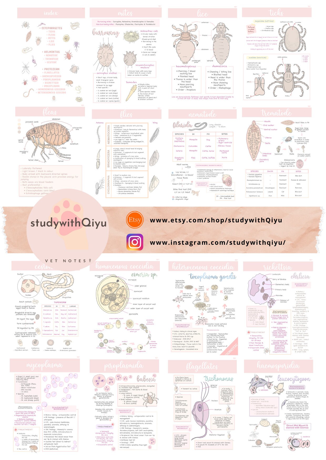 Vet Parasitology Bundle - Etsy
