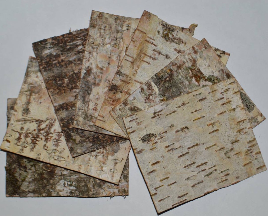 Birch Bark Sheets - Etsy