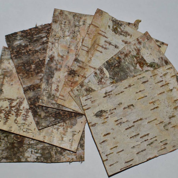 Birch Bark Sheets - Etsy