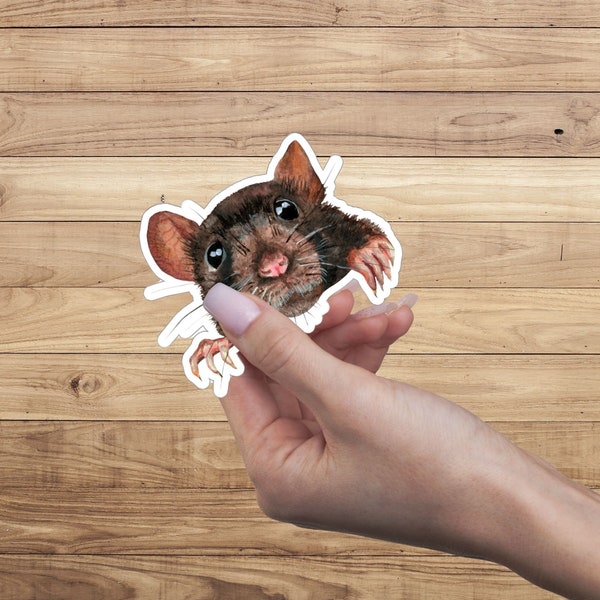 Rat Sticker - Etsy