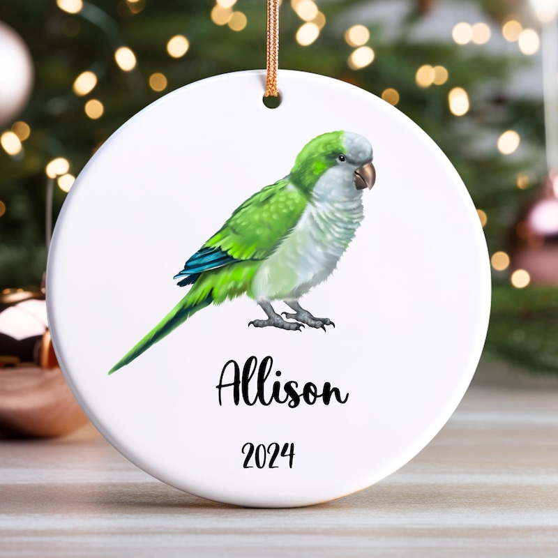 Ceramic Parrot - Etsy