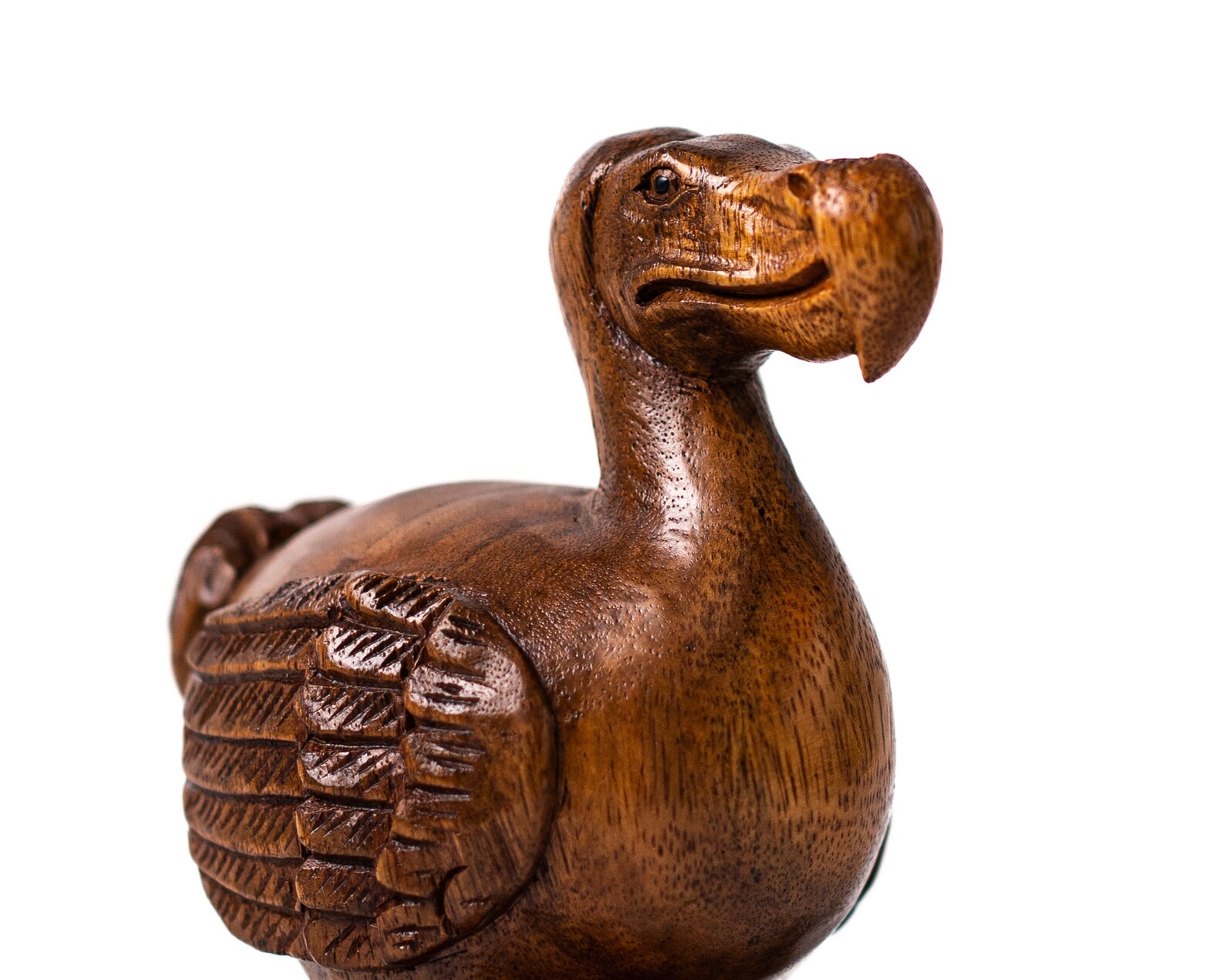 Dodo Bird 7 Inch / 17 Cm Wood Statue Wood Carving Figurine - Etsy