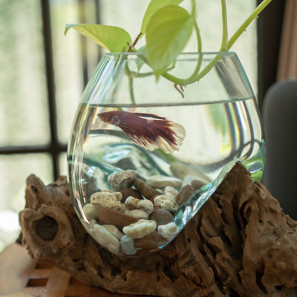 Fish Tank Decor - Etsy