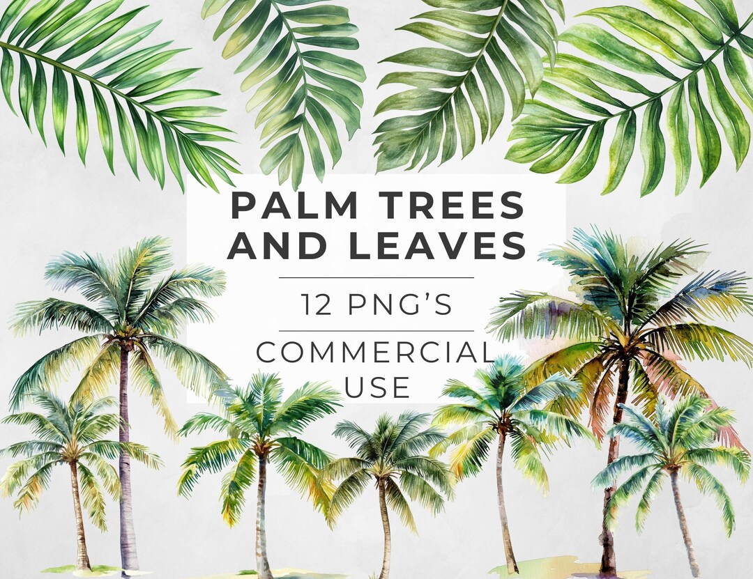 Watercolor Palm Tree Clipart: Tropical Greenery PNG (commercial Use) - Etsy