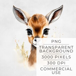 Baby Springbok Transparent PNG Clipart Safari Animal Image - Etsy