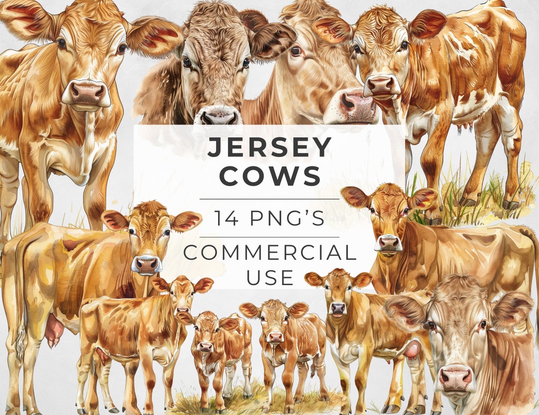 Watercolor Jersey Cow Clipart: Farm Animal PNG Graphics (digital ...