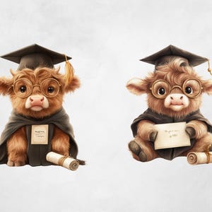 Highland Cow Graduation Clipart, Cute Cow PNG for Sublimation ...