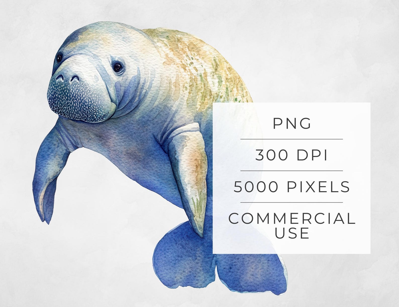 Manatee Clipart, Watercolor Sea Cow, Cute Ocean Animal, Sea Life ...