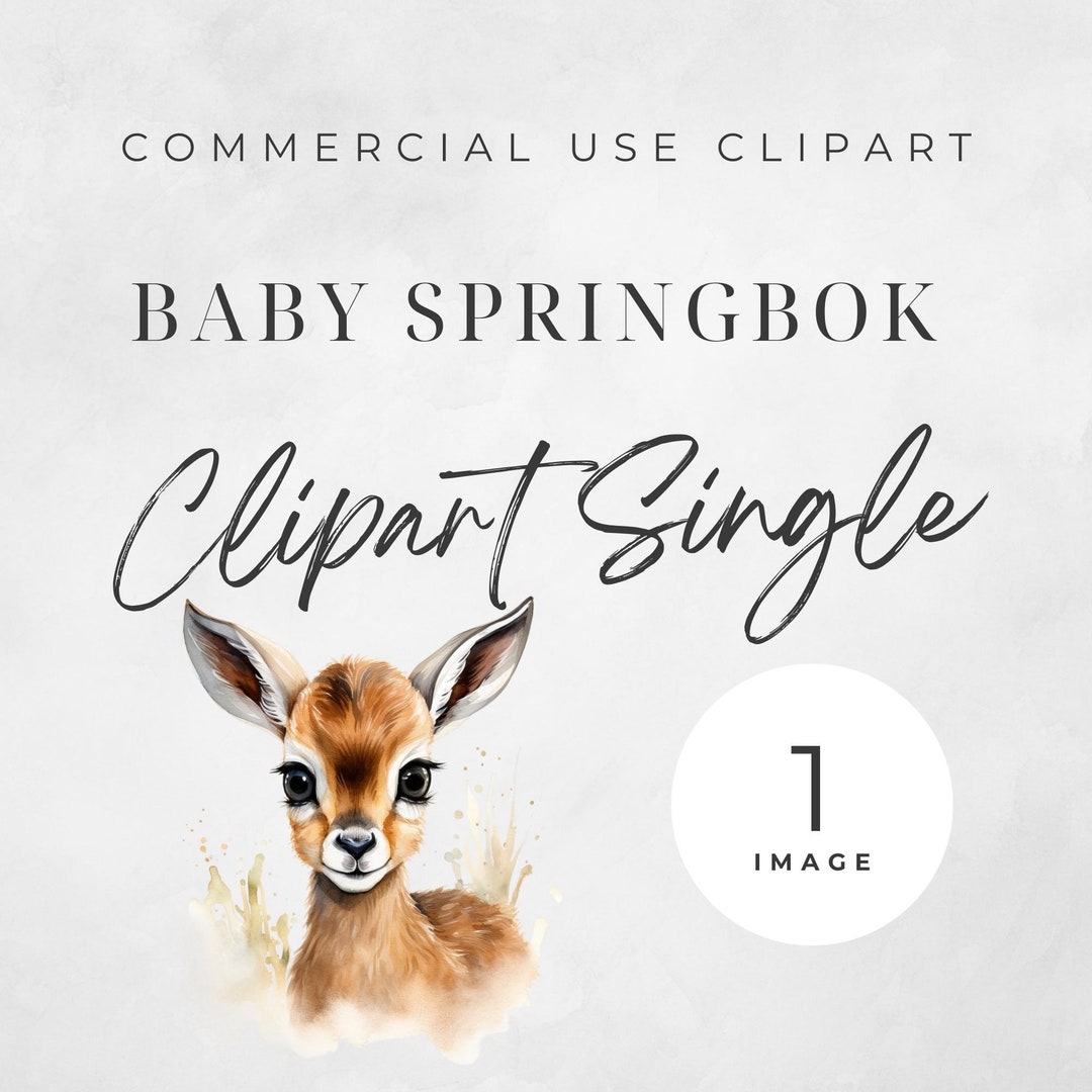 Baby Springbok Transparent PNG Clipart Safari Animal Image - Etsy