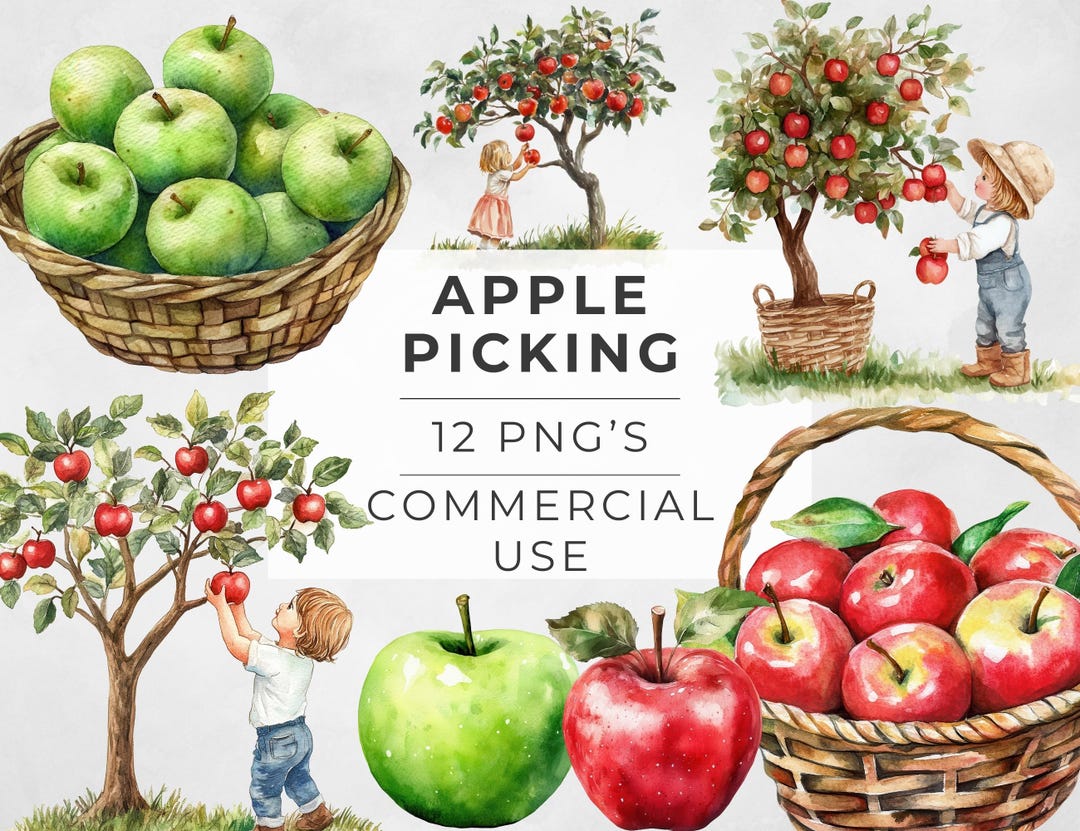 Apple Picking Clipart: Watercolor Fall Orchard PNG (digital Download ...