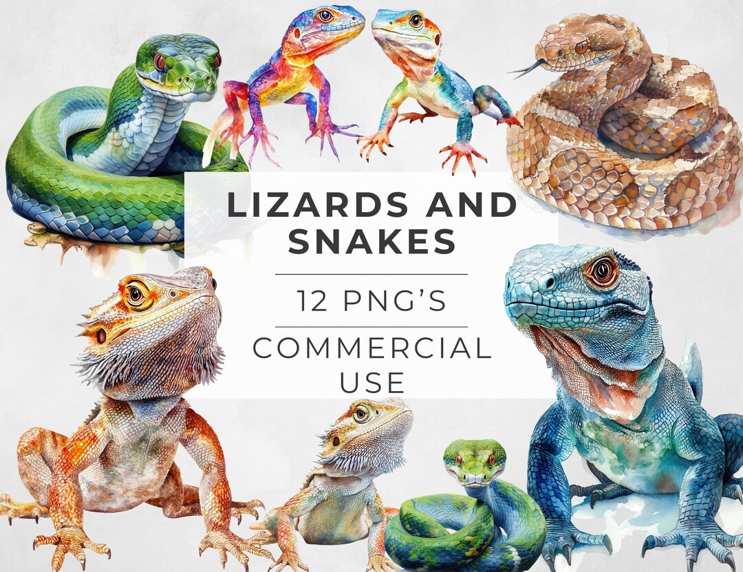 Lizard Snake Clipart, Watercolor Reptiles, Bearded Dragon, Komodo ...