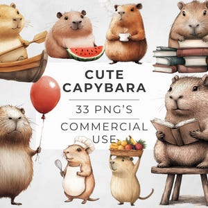 Cute Capybara Clipart Bundle, Cute Digital Art for Scrapbooking and DIY ...