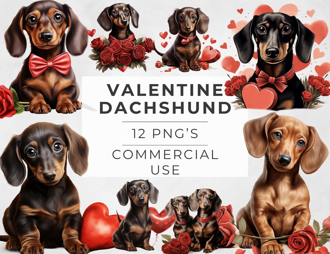 Dachshund Valentine Clipart, Quirky, Transparent PNG, Happy Valentines ...