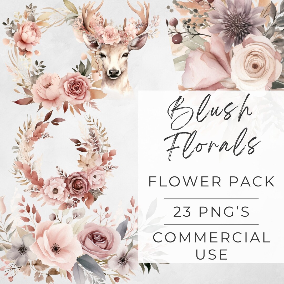 Blush Pink Floral Clipart, Rose Watercolor Flowers Pack, Wedding ...