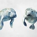 Manatee Clipart, Watercolor Sea Cow, Cute Ocean Animal, Sea Life ...