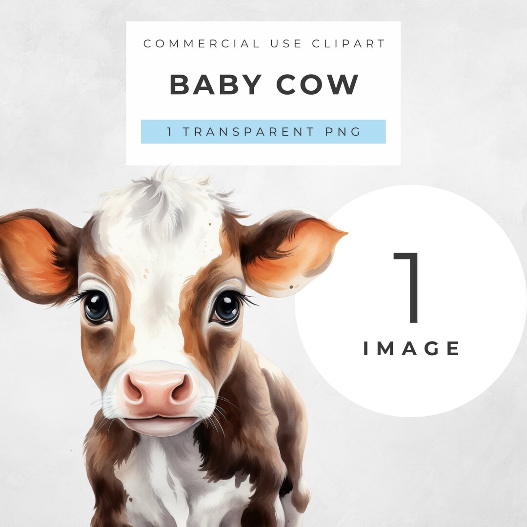 Baby Cow Transparent PNG Clipart, Calf Image, Watercolor Graphic, Cute ...