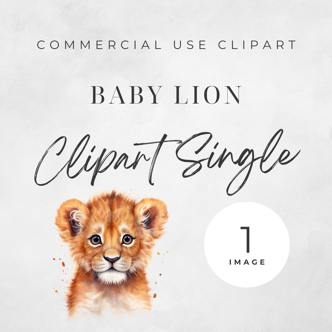 Baby Lion Transparent PNG Clipart Safari Animal Image - Etsy