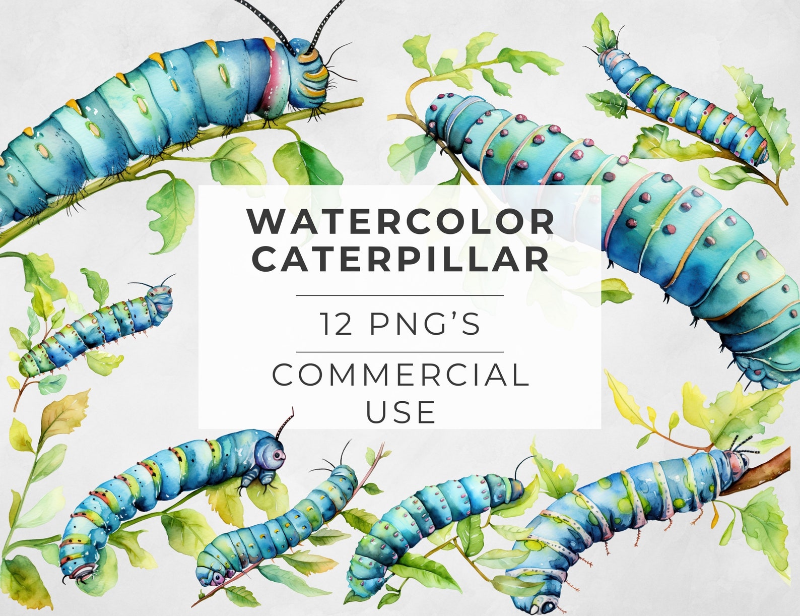 Watercolor Caterpillar Clipart, Cute Bugs, Nature, Hungry Caterpillar ...