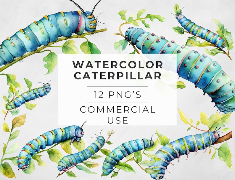 Watercolor Caterpillar Clipart, Cute Bugs, Nature, Hungry Caterpillar ...
