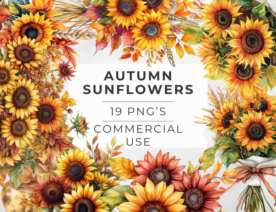 Autumn Sunflower Clipart, Watercolor Bouquet, Frames, Vases ...