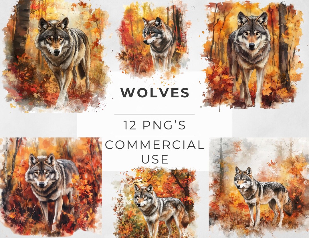 Wolf Clipart PNG, Watercolor Wolves, Wild Animal Sublimation Designs ...