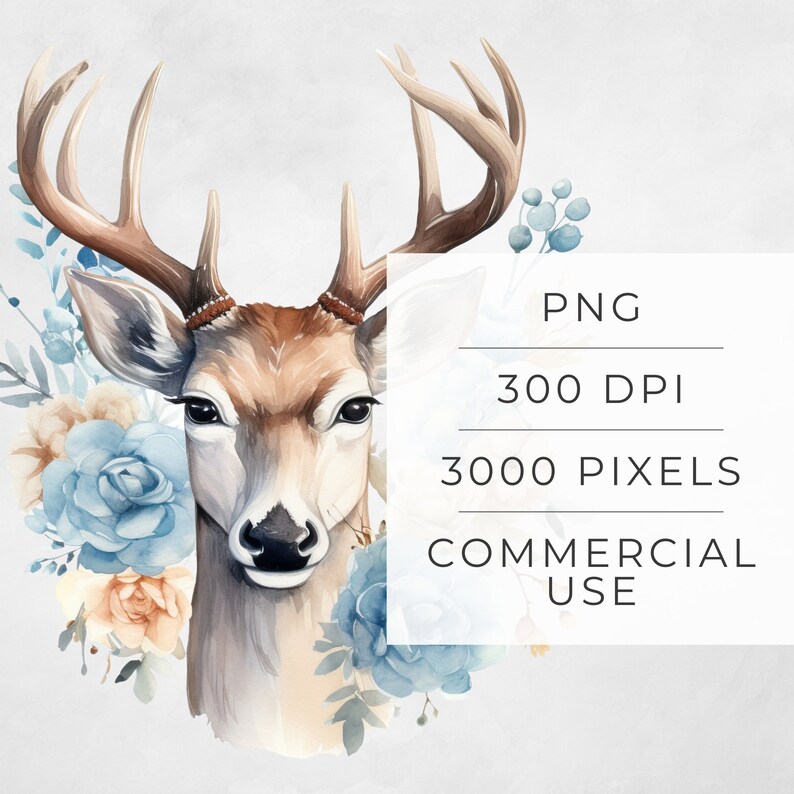 Dusty Blue Roses and Peonies, White Floral Clipart, Watercolor Flowers ...