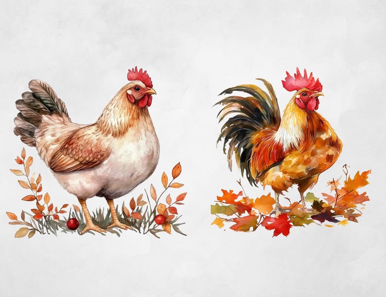 Chicken in Autumn Clipart, Watercolor Fall Farm Animal, Pumpkin ...