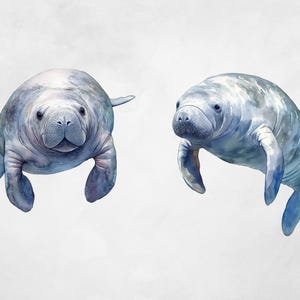 Manatee Clipart, Watercolor Sea Cow, Cute Ocean Animal, Sea Life ...
