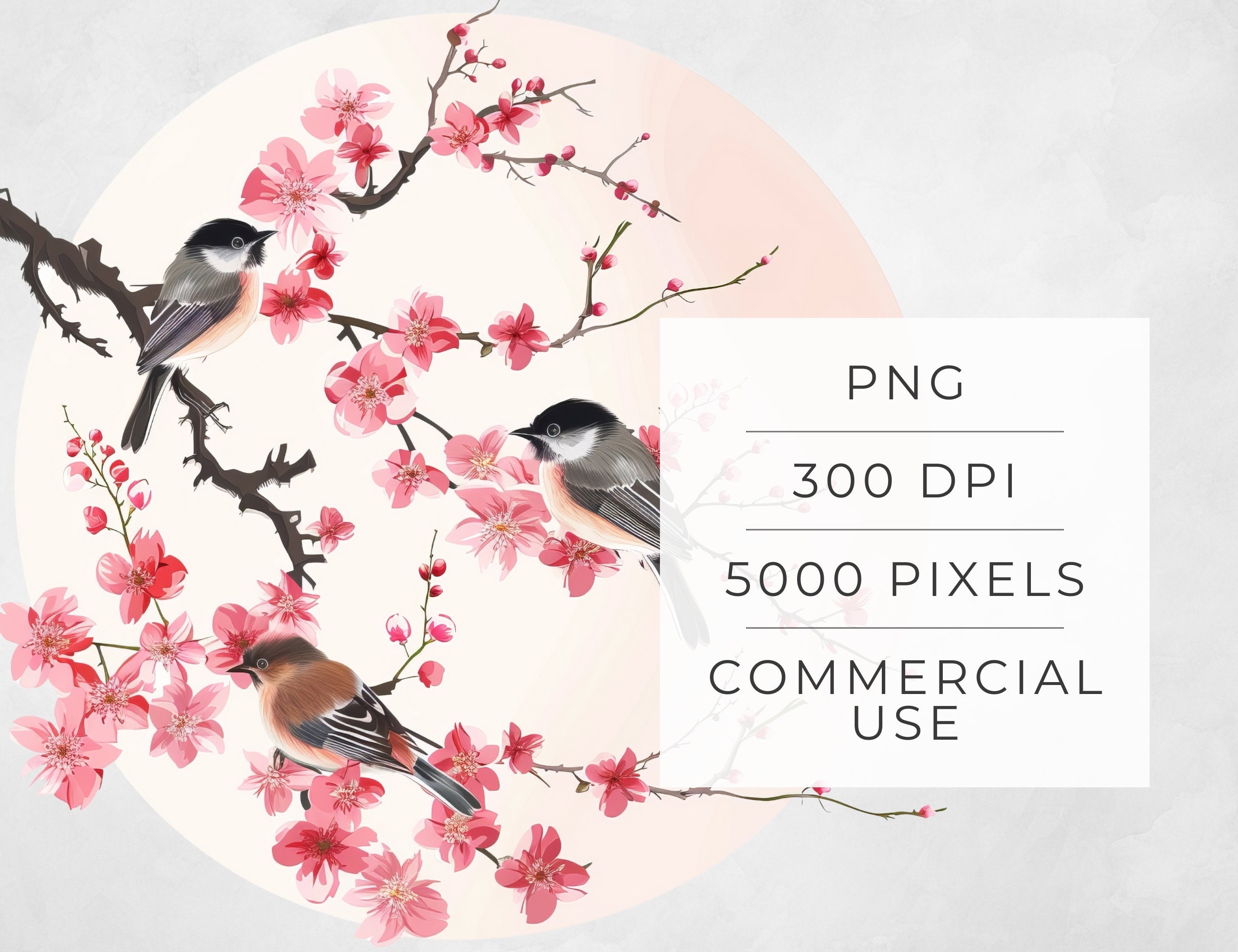 Birds and Cherry Blossoms Clipart, Watercolor Spring Wedding, Sakura ...
