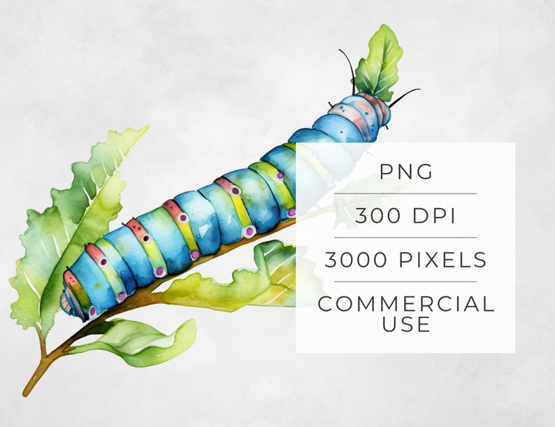 Watercolor Caterpillar Clipart, Cute Bugs, Nature, Hungry Caterpillar ...