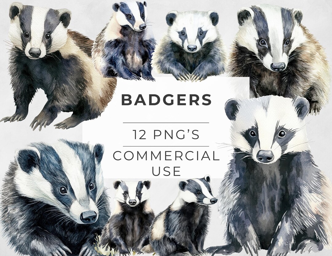 Badger Clipart, Watercolor Woodland Animal, Badgers, Black and White ...
