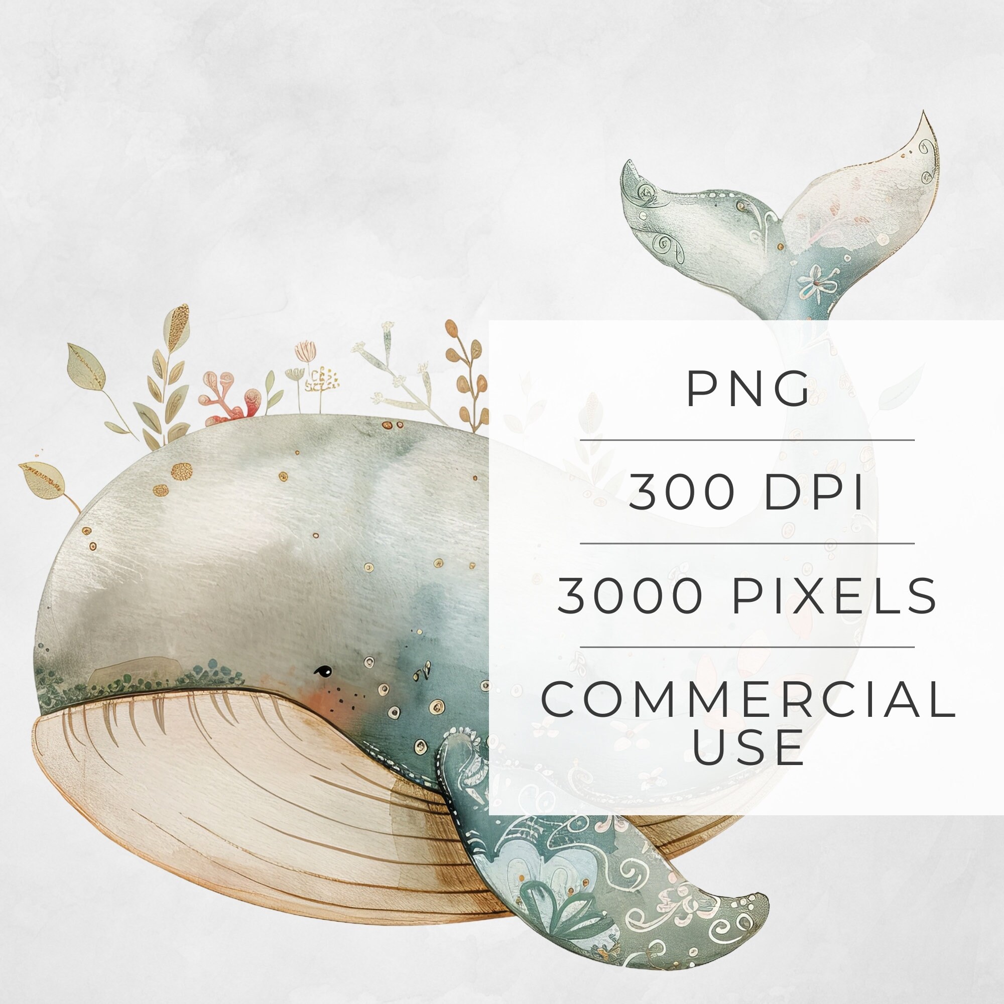 Watercolor Clipart Whale, Whimsical and Cute, Ocean Animals, Quirky ...