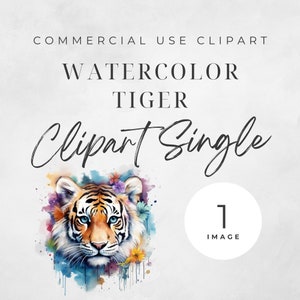 Tiger Transparent PNG Clipart Wild Animal Image Rainbow - Etsy