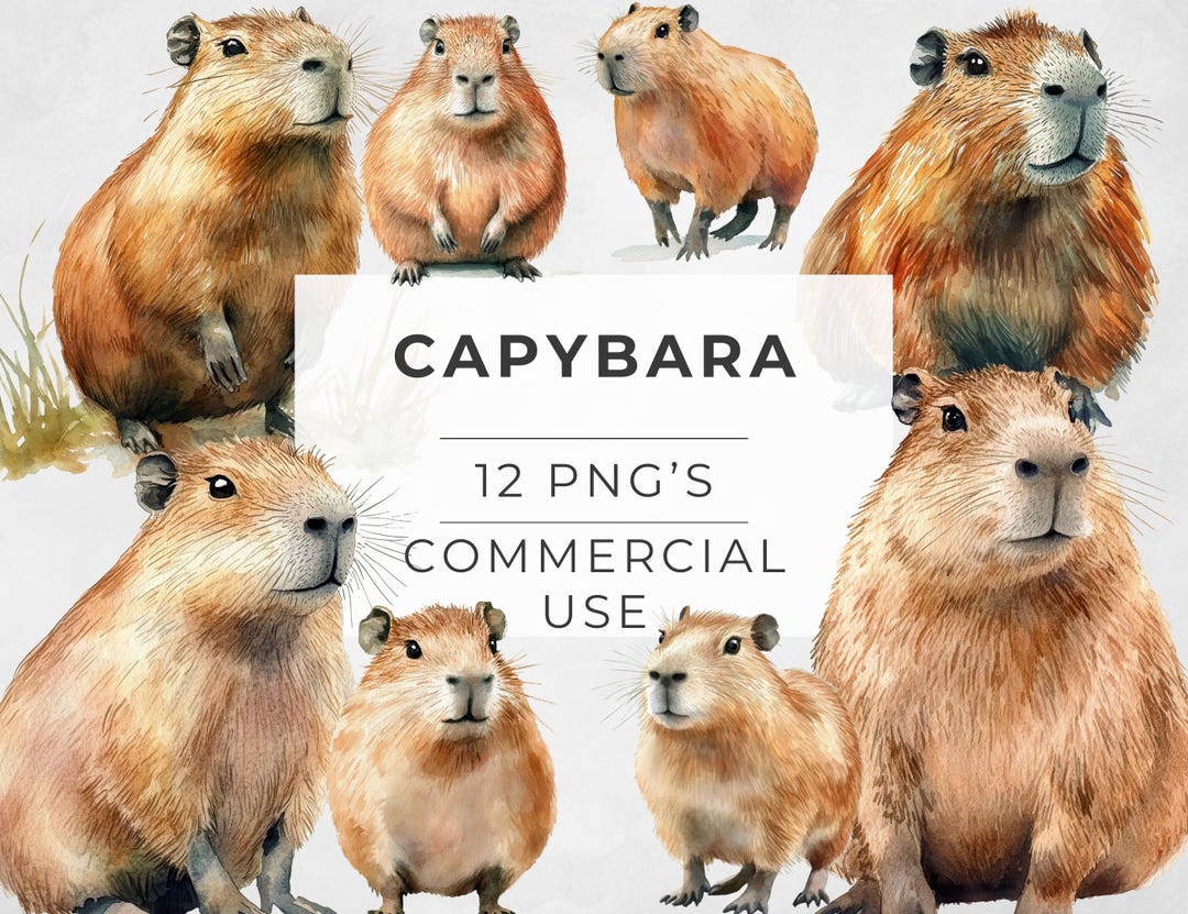 Cute Capybara Clipart, Watercolor Animals, Cuddly Illustrations ...