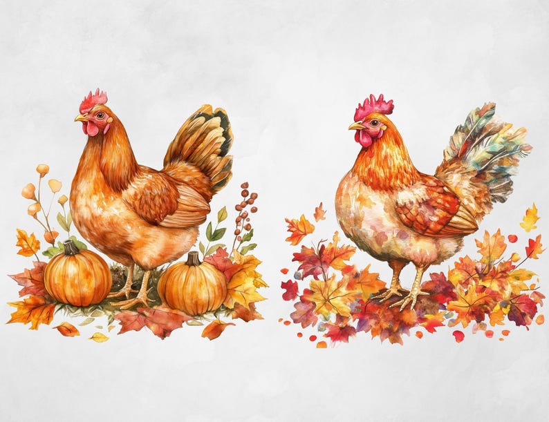 Chicken in Autumn Clipart, Watercolor Fall Farm Animal, Pumpkin ...