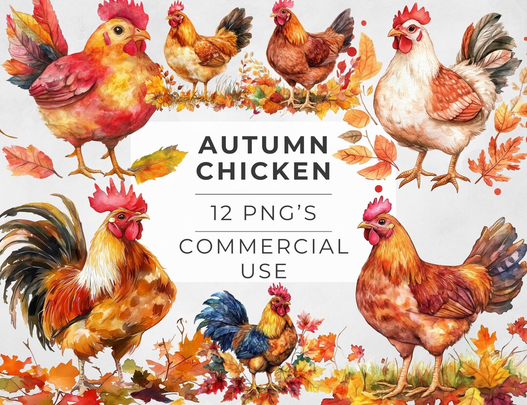 Chicken in Autumn Clipart, Watercolor Fall Farm Animal, Pumpkin ...