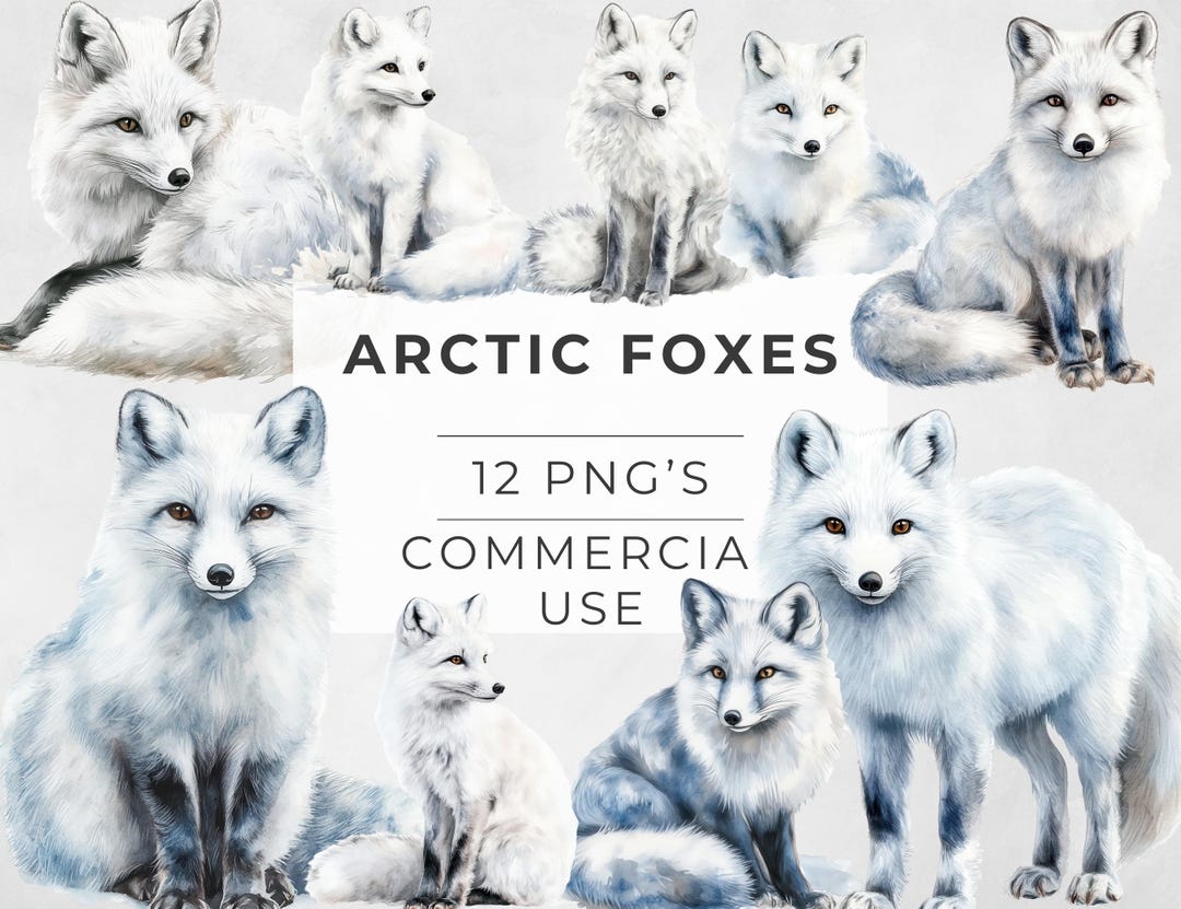 Watercolor Arctic Fox Clipart: Winter Animals PNG (commercial Use) - Etsy