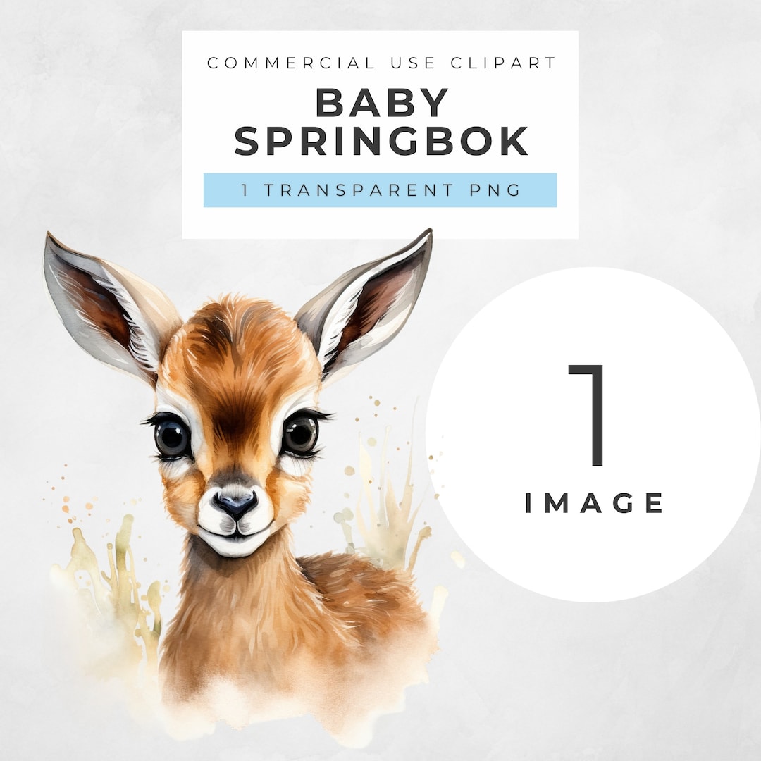 Baby Springbok Transparent PNG Clipart, Safari Animal Image, Watercolor ...