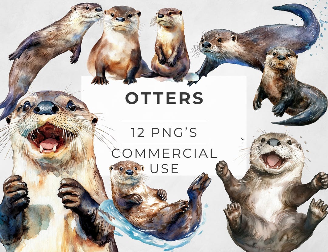 Otter Clipart PNG, Watercolor Cute Sea Animal, Ocean Life, Aquatic ...