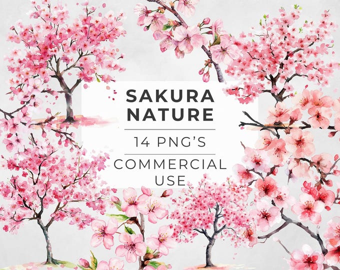 Watercolor Cherry Blossom Clipart: Sakura Images for Commercial Use ...