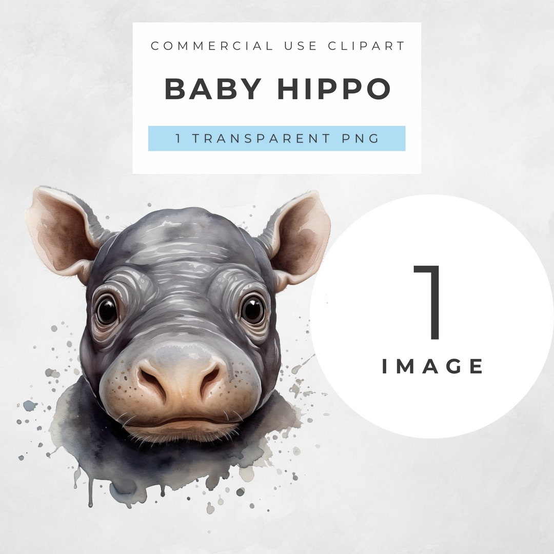 Baby Hippo Transparent PNG Clipart, Safari Animal Image, Watercolor ...