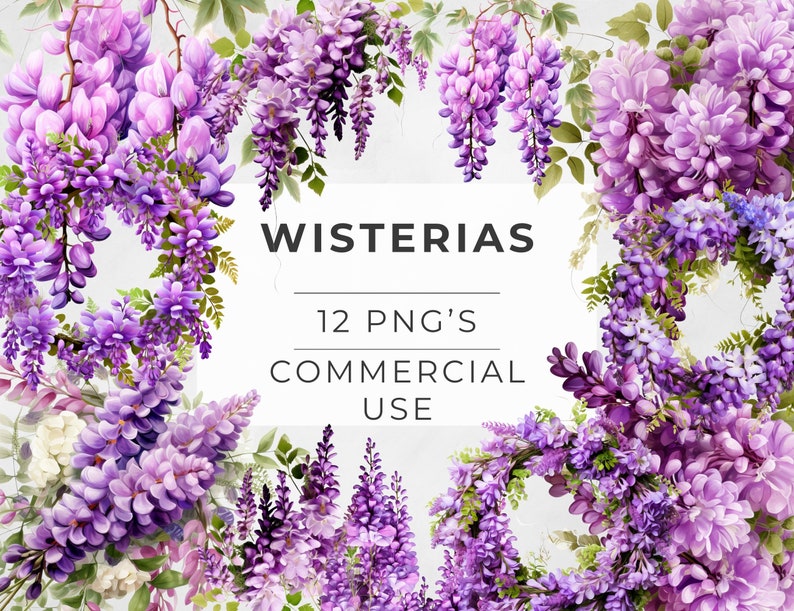 Wisteria Clipart, Watercolor Florals, Purple Spring Flower, PNG, Wreath ...