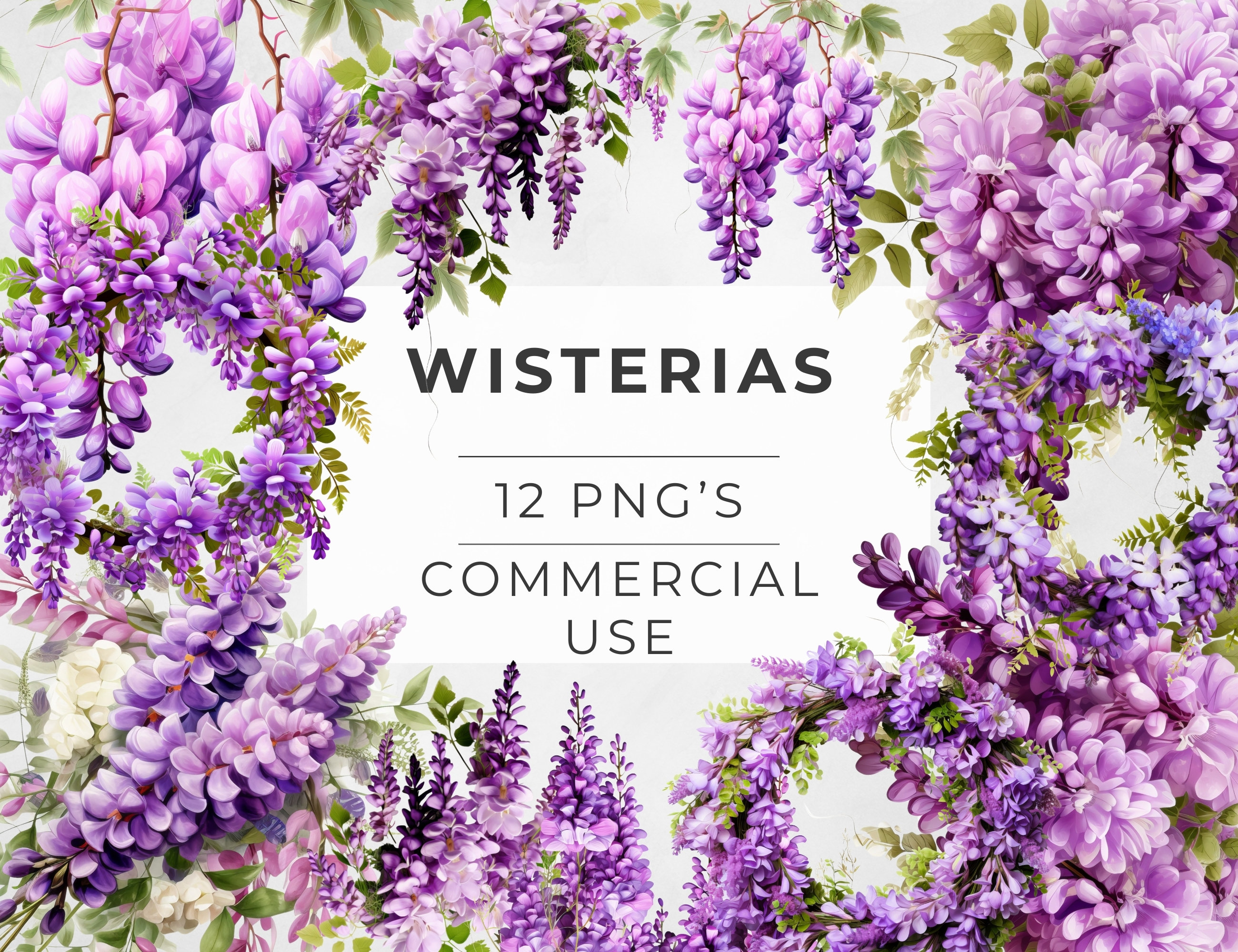 Wisteria Clipart, Watercolor Florals, Purple Spring Flower, PNG, Wreath ...