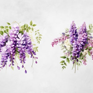 Wisteria Clipart, Watercolor Florals, Purple Spring Flower, PNG, Wreath ...