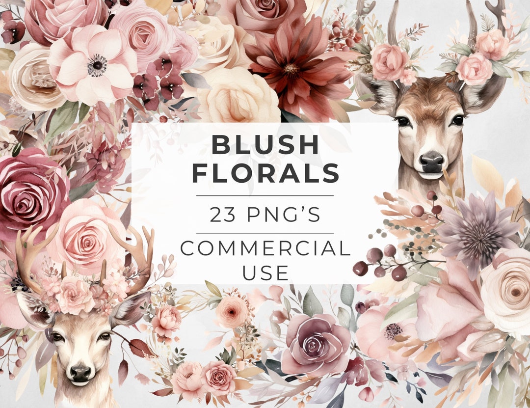 Blush Pink Floral Clipart, Rose Watercolor Flowers Pack, Wedding ...