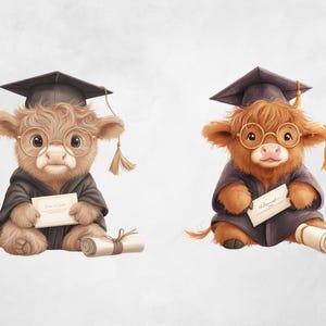 Highland Cow Graduation Clipart, Cute Cow PNG for Sublimation ...