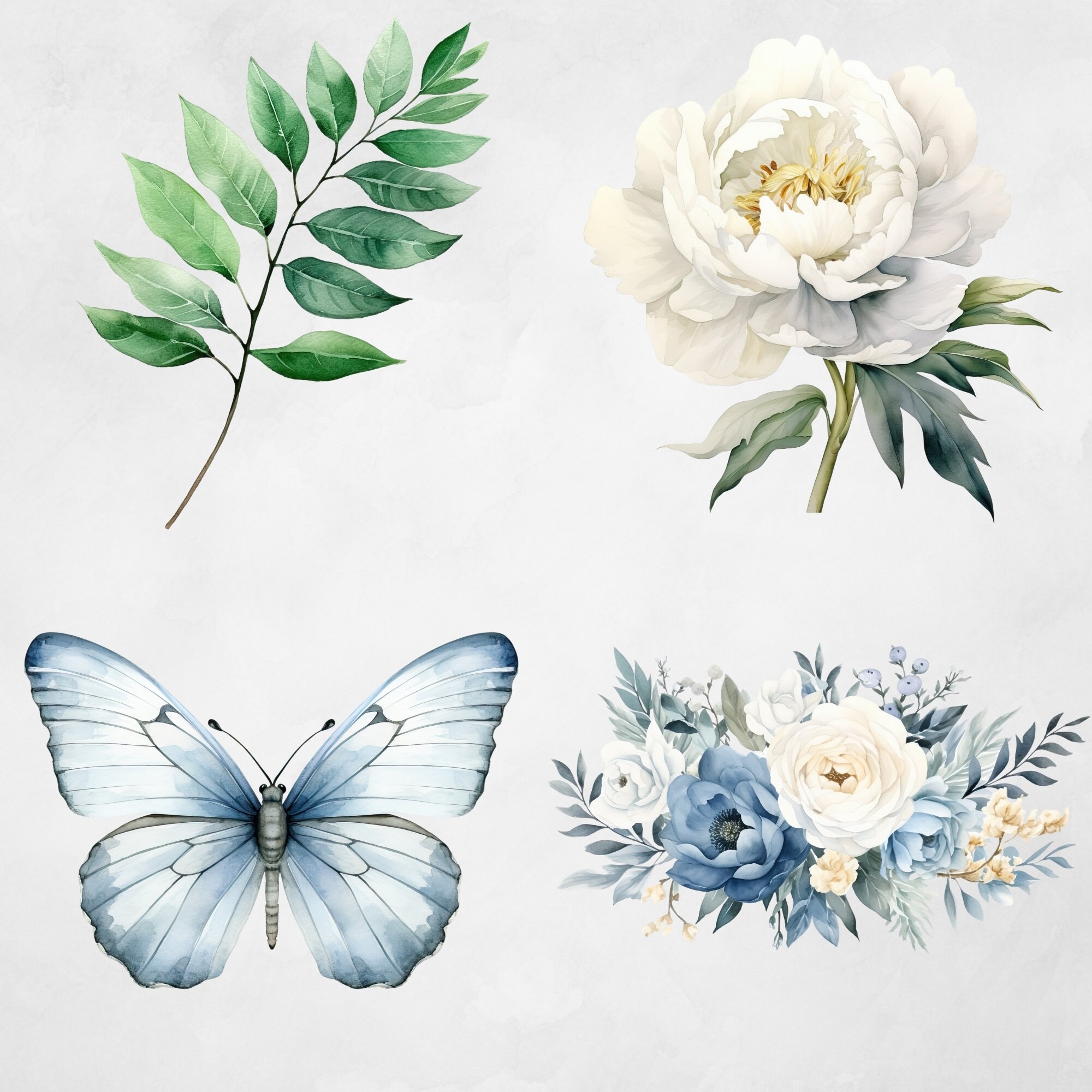 Dusty Blue Roses and Peonies, White Floral Clipart, Watercolor Flowers ...