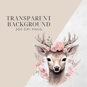 Blush Pink Floral Clipart, Rose Watercolor Flowers Pack, Wedding ...