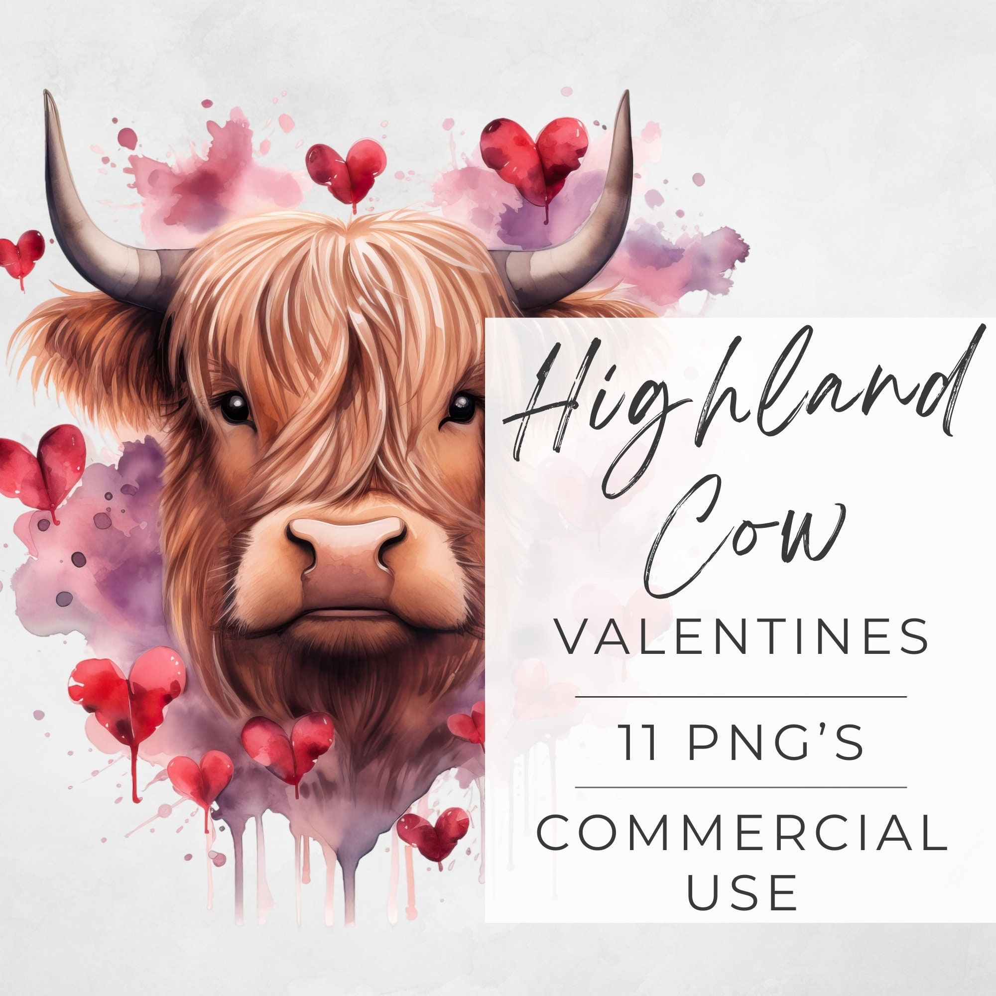 Highland Cow Valentine Clipart, Transparent PNG, Helfer, Cute ...