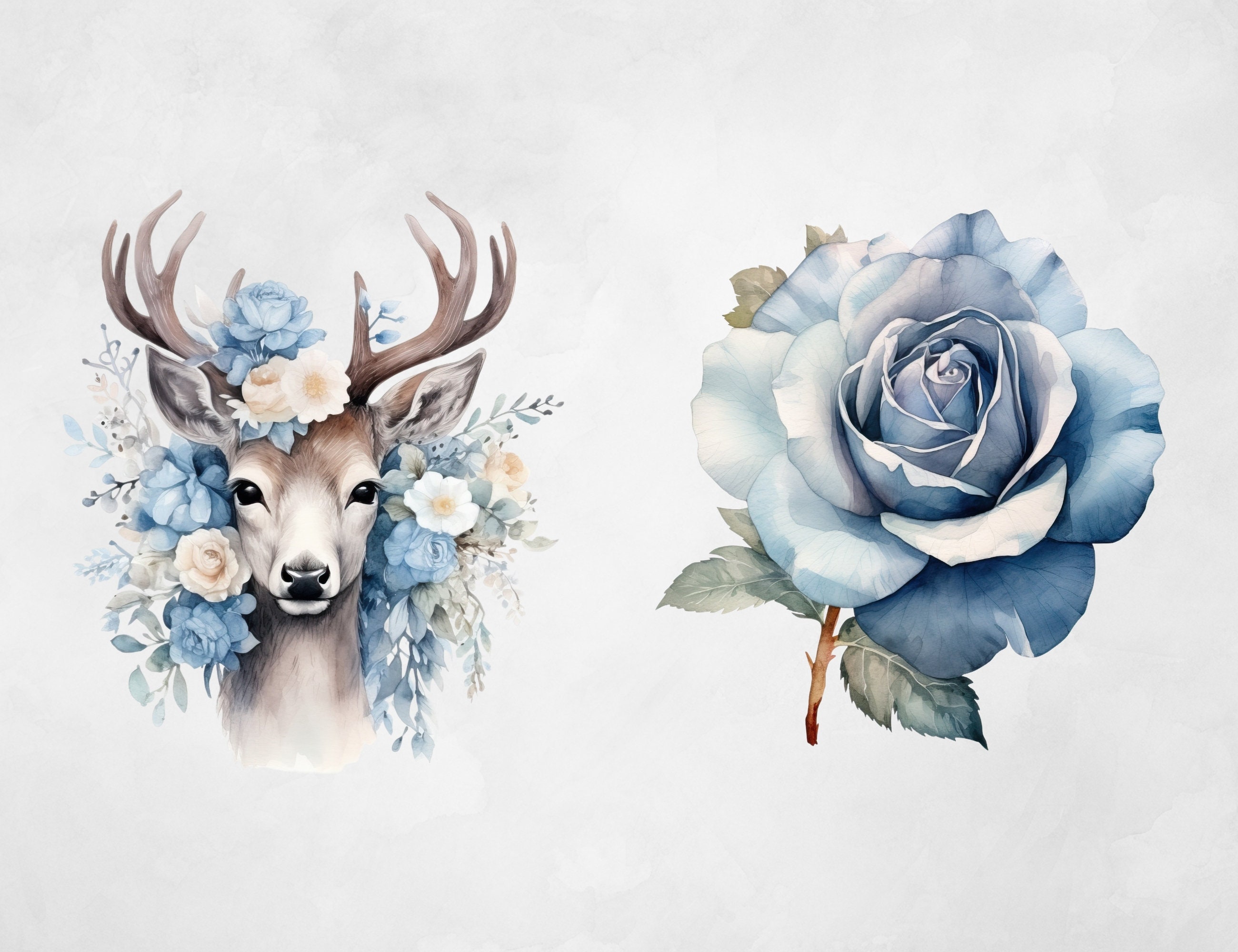 Dusty Blue Roses and Peonies, White Floral Clipart, Watercolor Flowers ...